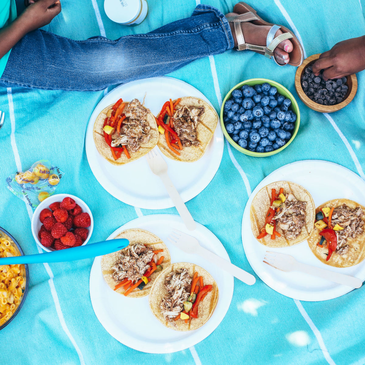 Top Ideas for Picnic with Kids | Nurture Life