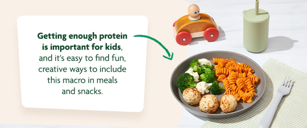 Protein for Kids | Nurture Life
