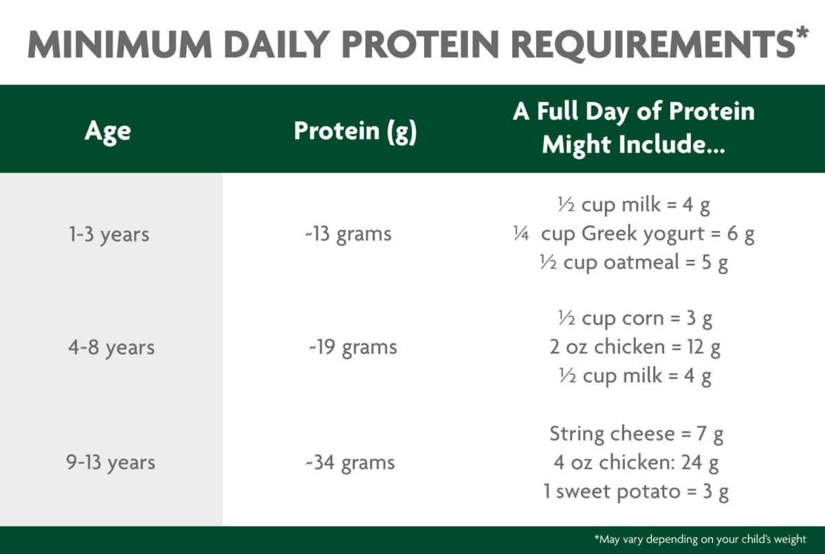 Protein for Kids | Nurture Life