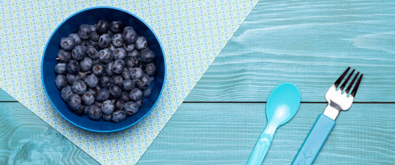 Homemade Blueberry Baby Food: Step-by-Step Recipe with Storage Tips ...